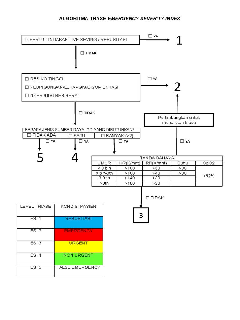 Algoritma Triase Emergency Severity Index untuk Menentukan Prioritas ...