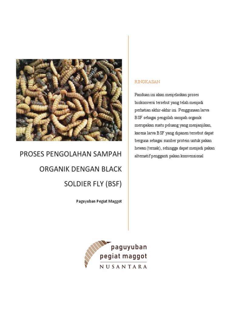 Panduan Biokonversi menggunakan BSF_PPM revisi | PDF