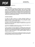 Diagrama de La Detección de Colonias Bacterianas Con X-Gal e Iptg | PDF | Biología | Biología ...