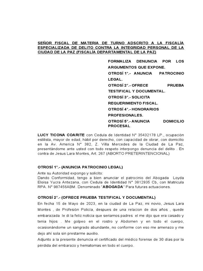 Modelo Denuncia Penal | PDF | Justicia | Crimen y violencia