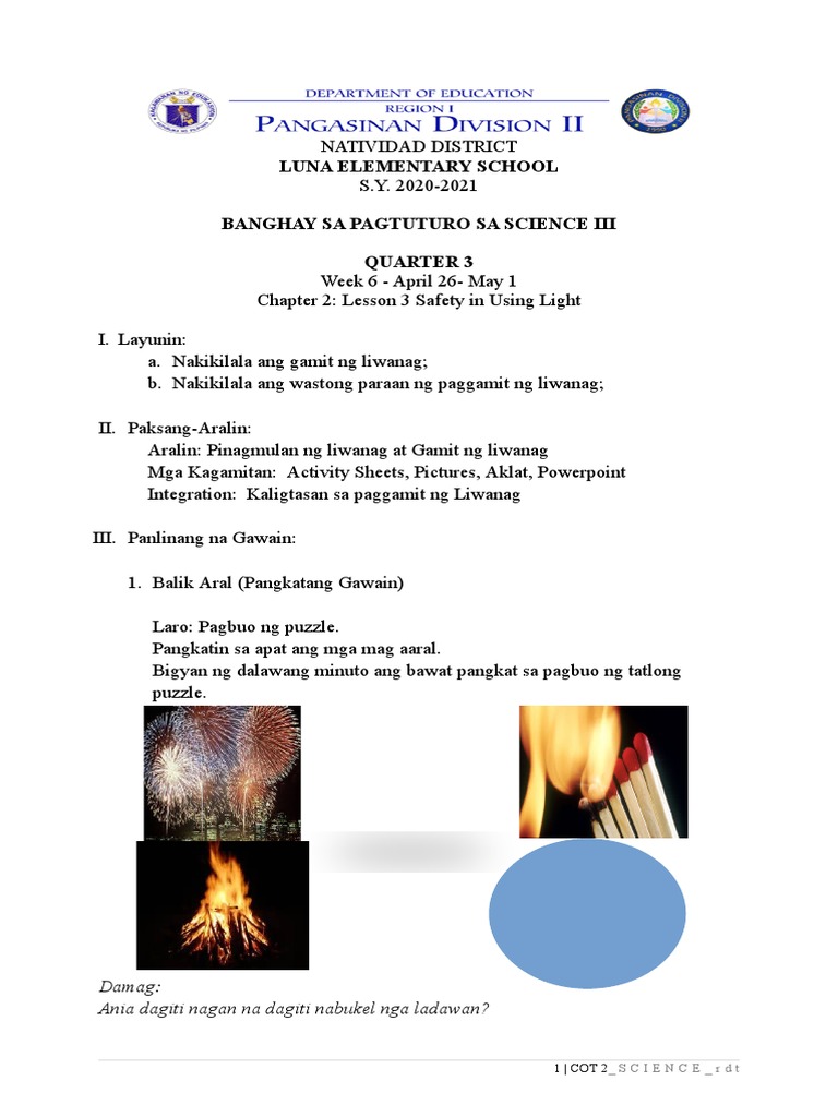 DLP Science 3 - Cot2 | PDF