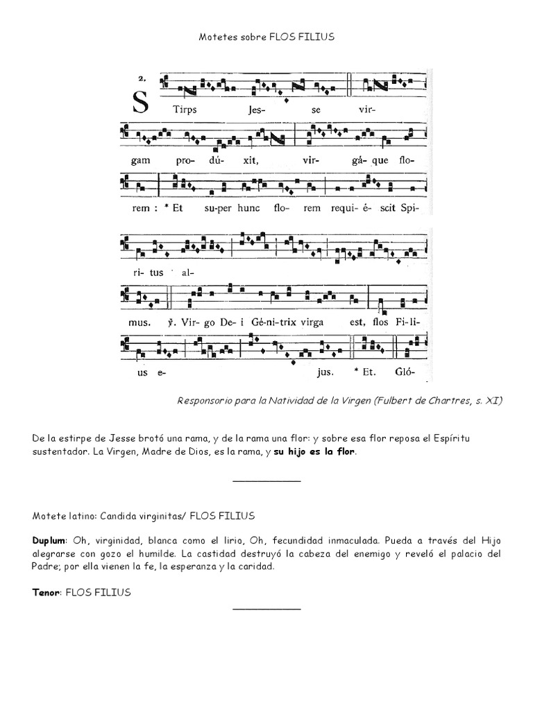 FLOS FILIUS Textos y Traducciones | PDF