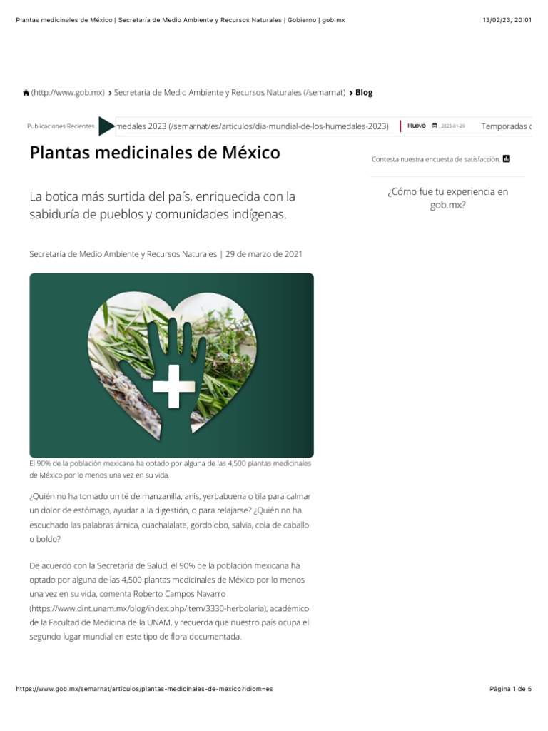 Plantas Medicinales De México Secretaría De Medio Ambiente Y Recursos