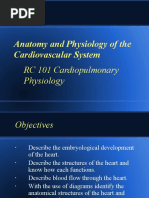 Cardiovascular System | PDF | Atrium (Heart) | Heart