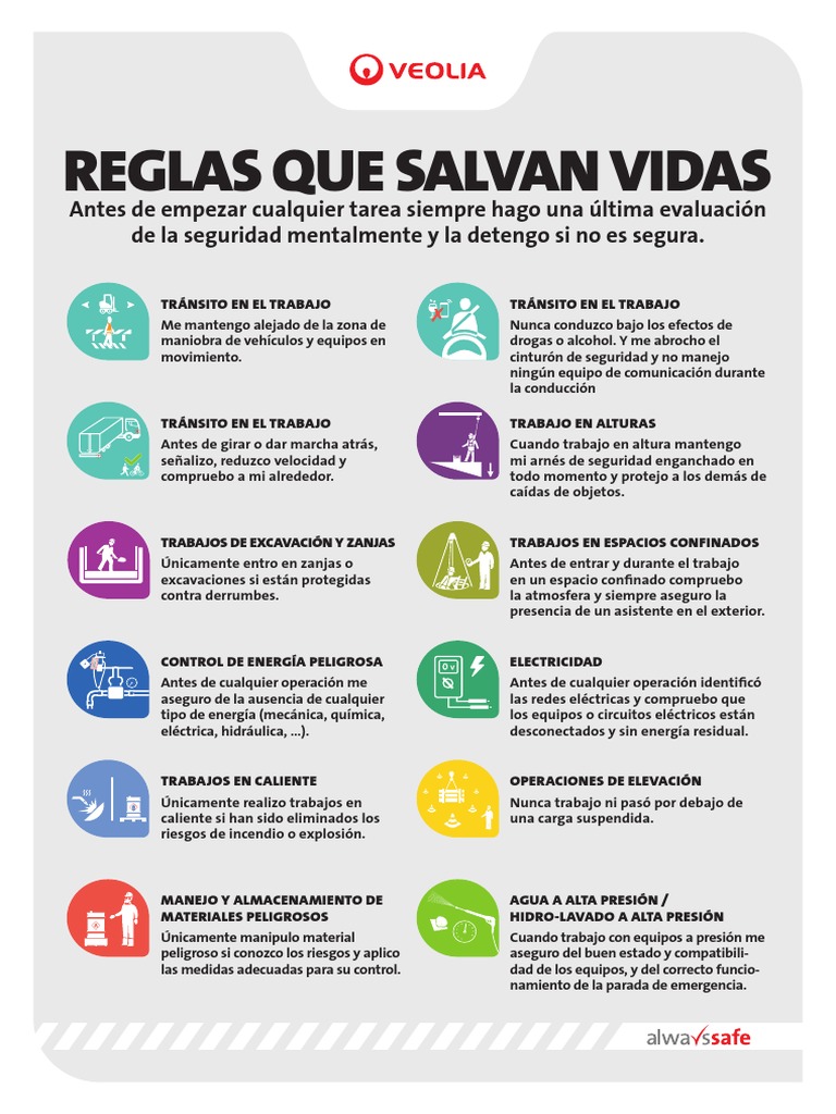 Reglas Que Salvan Vidas | PDF | Cinturón de seguridad | Ciencias fisicas