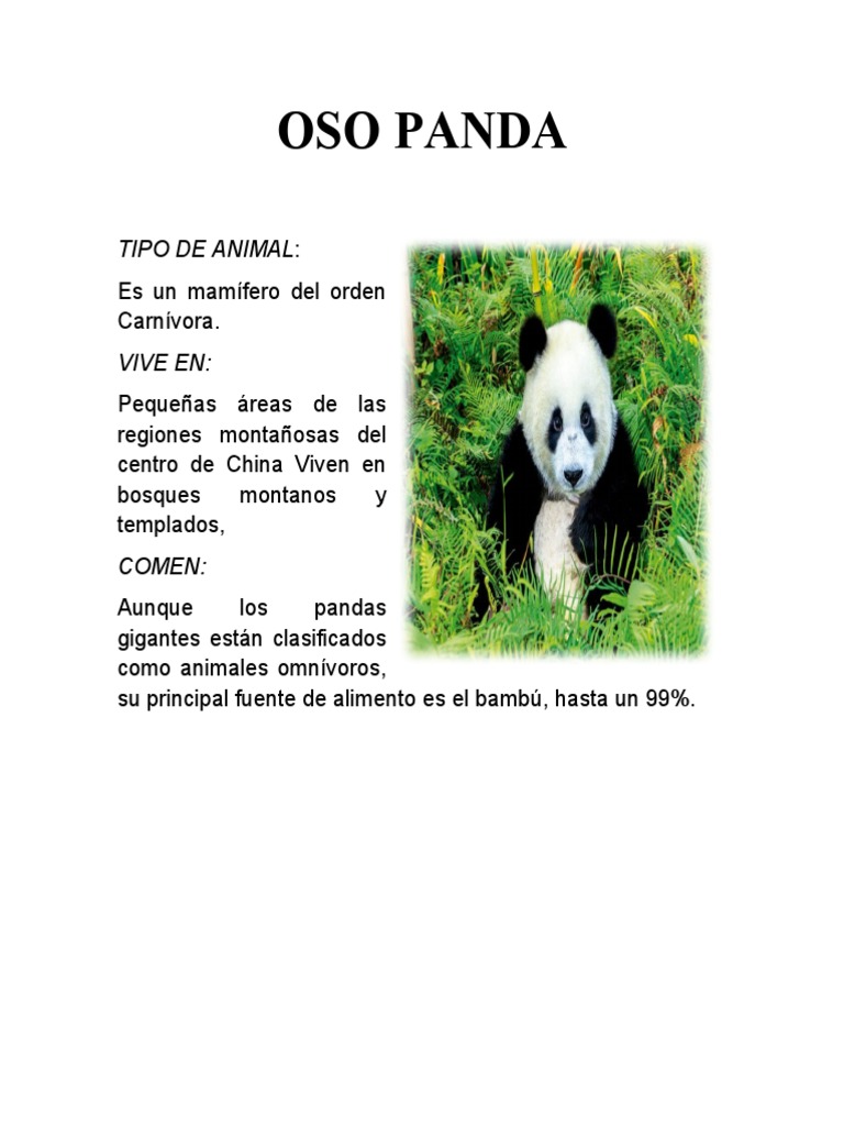 Oso Panda | PDF
