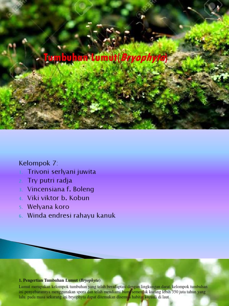 Ciri dan Jenis Tumbuhan Lumut | PDF