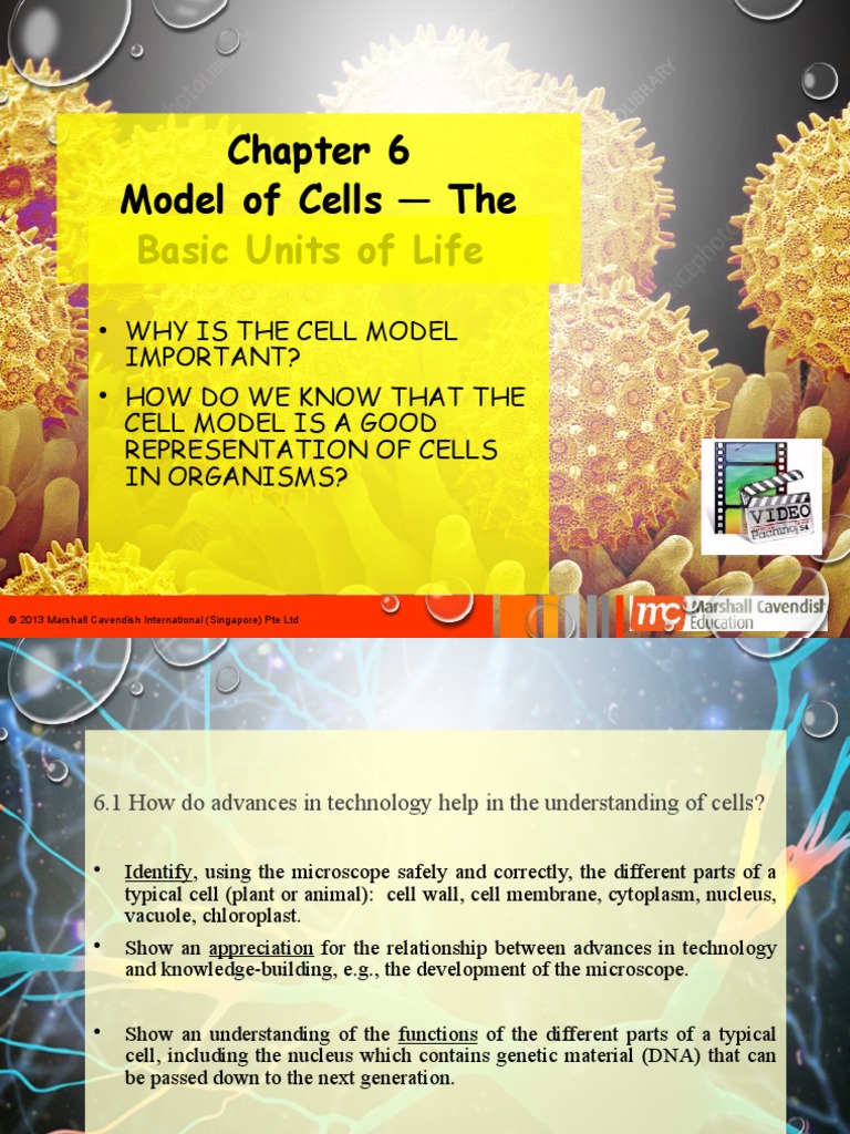Cells: The Building Blocks of Life | PDF | Cell (Biology) | Tissue ...