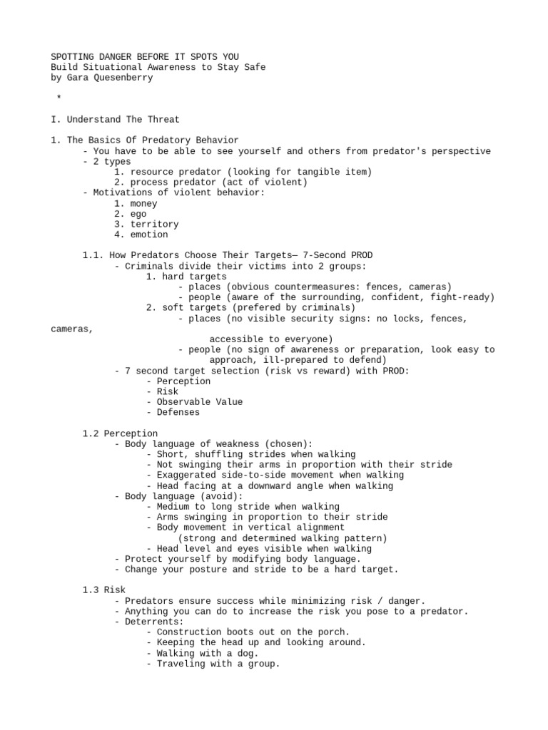 Spotting Danger: A Guide to Awareness | PDF | Situation Awareness ...