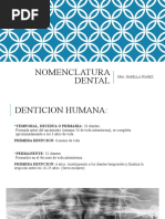 Nomenclatura Dentaria - El Código Internacional (FDI) | PDF | Diente ...