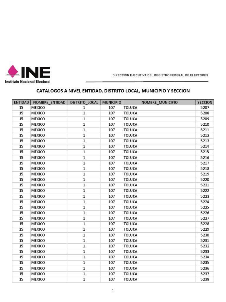 Catalogos A Nivel Entidad, Distrito Local, Municipio Y Seccion | PDF