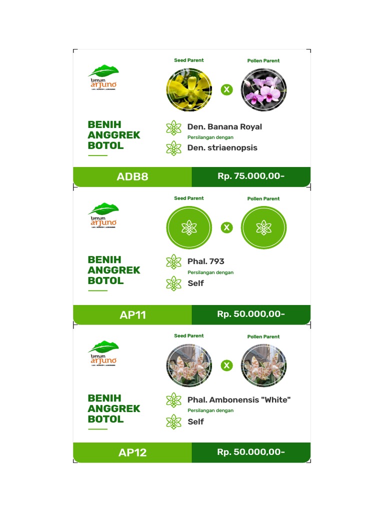 Katalog Benih Anggrek Botol | PDF