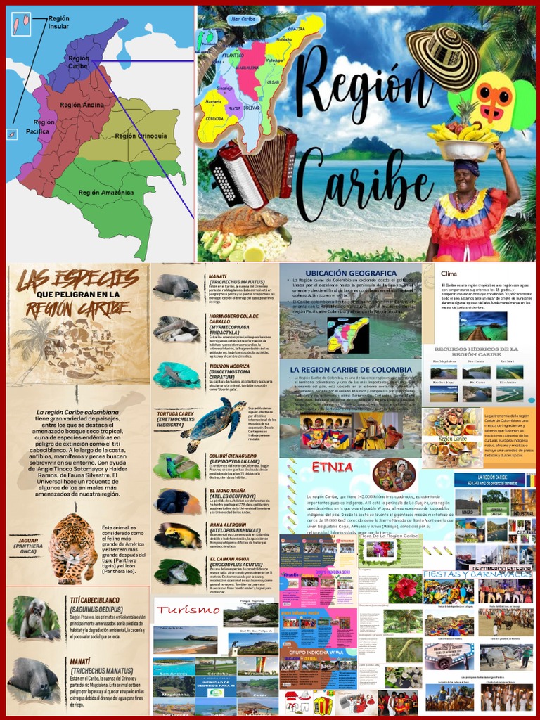 Region Caribe Colombiana | PDF