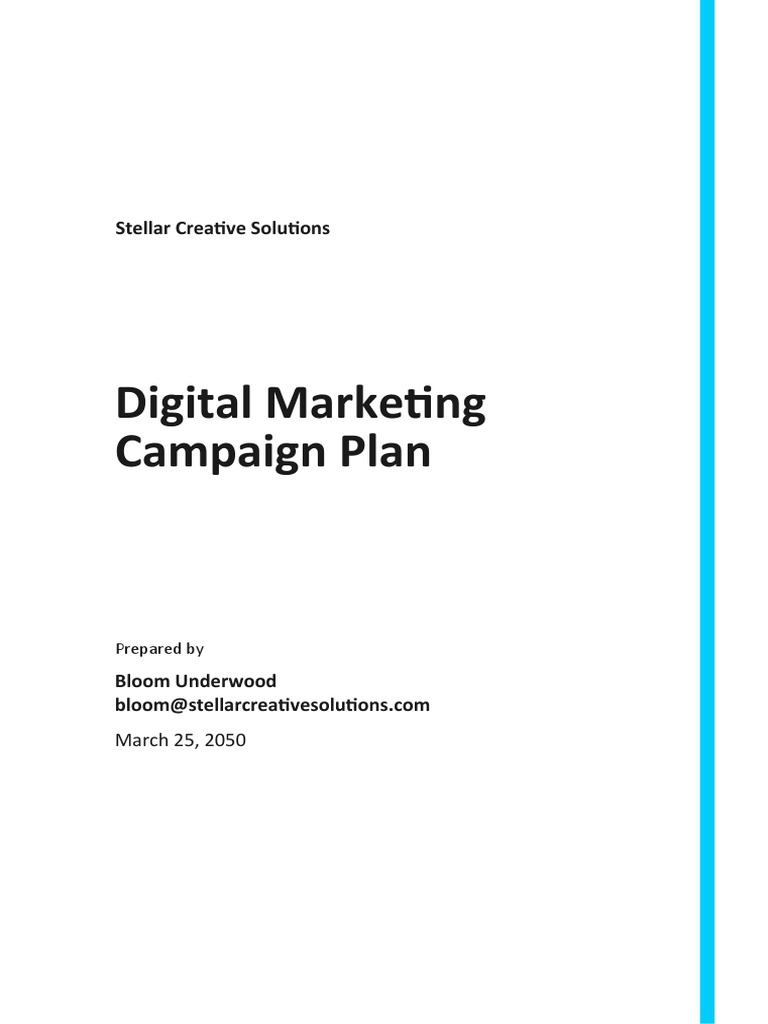 Sample Digital Marketing Campaign Plan Template | PDF | Digital ...