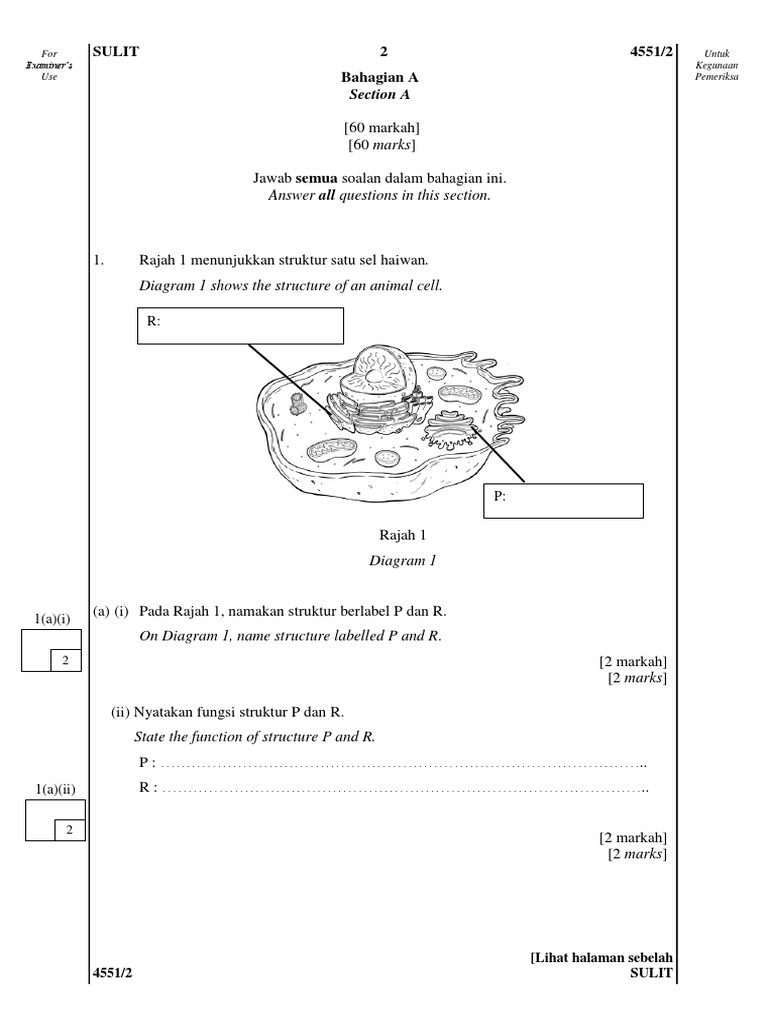 Soalan BIOLOGI KERTAS 2 | PDF