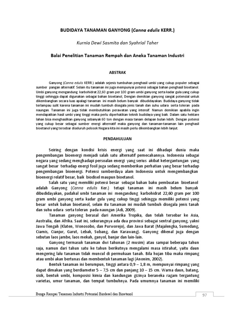 Budidaya Tanaman Ganyong untuk Bioetanol | PDF