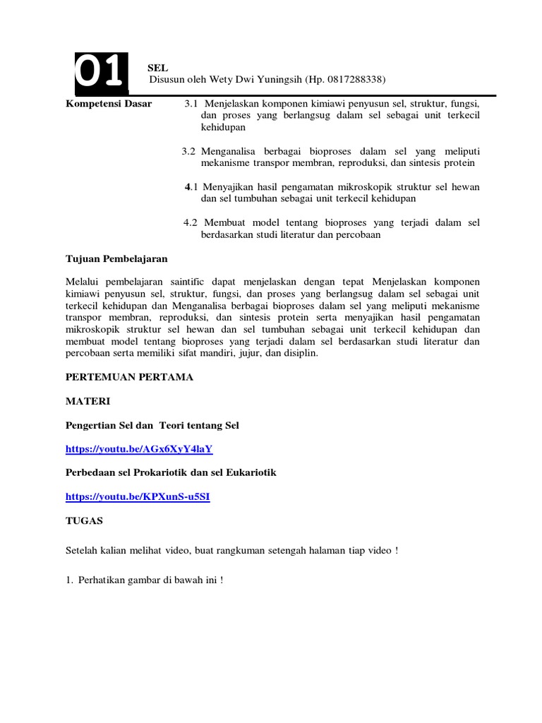 LKPD Sel 1 | PDF | Pengembangan Diri | Kesehatan Holistik