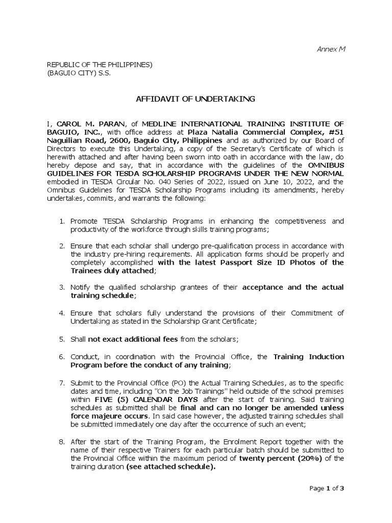 Affidavit of Undertaking | PDF | Audit | Regulatory Compliance