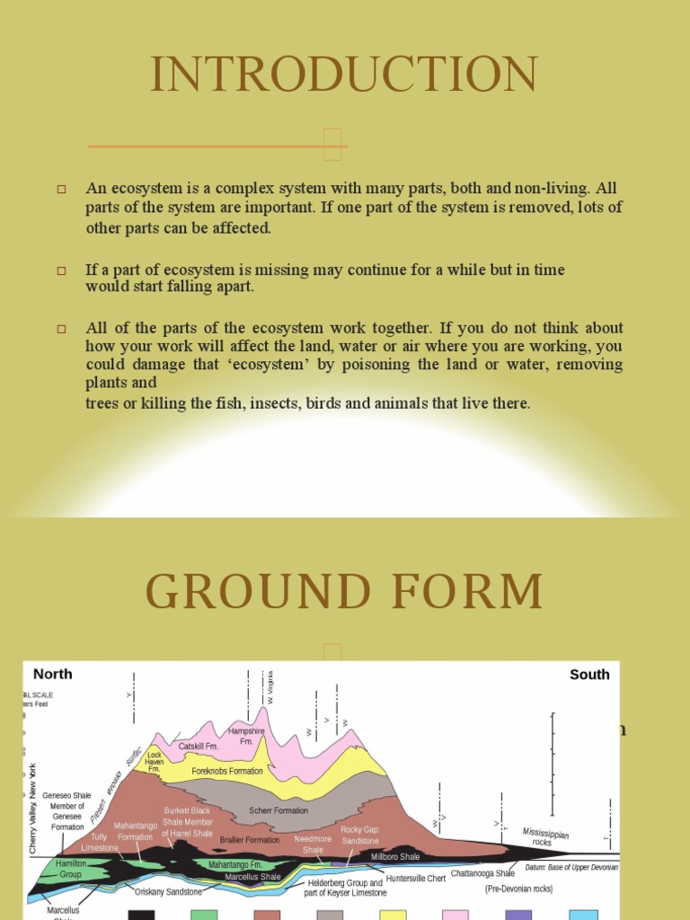 Ecological Consideration of Site | PDF | Geology | Rock (Geology)
