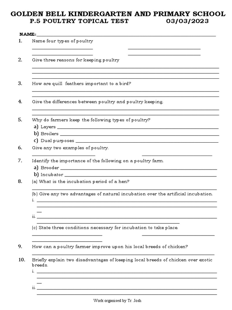 Poultry Farming Test for P.5 Students | PDF | Poultry | Chicken