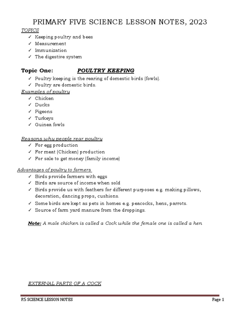 Primary 5 Science Notes: Poultry Care | PDF | Weight | Chicken