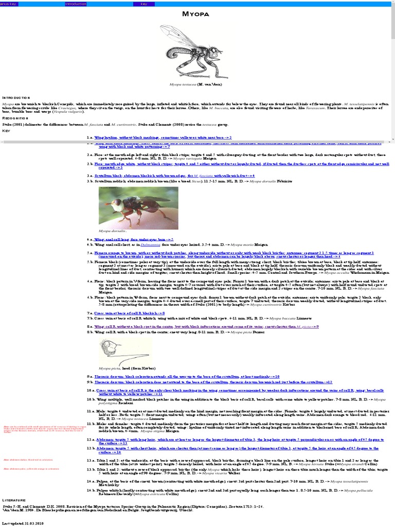 Myopa Key (Diptera - Conopidae) | PDF | Anatomical Terms Of Location ...