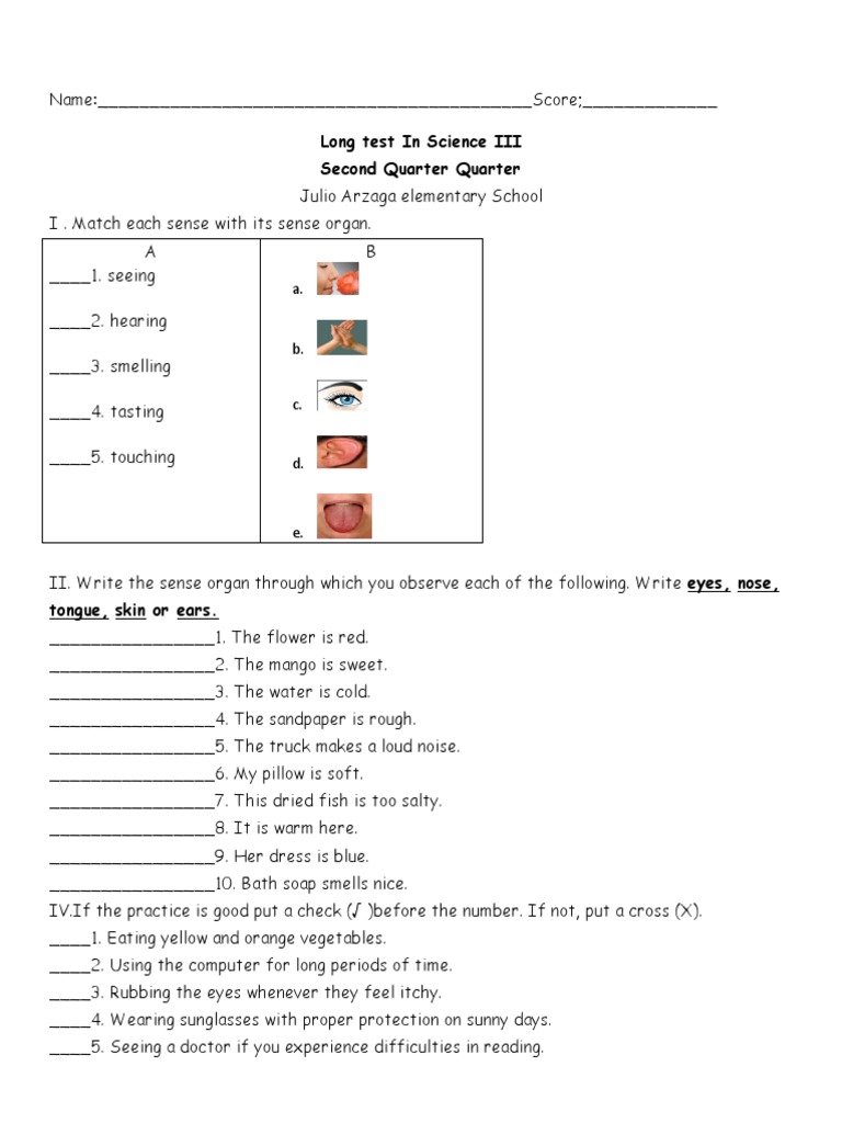 Summative Test in Science 2nd Quarter | PDF | Senses