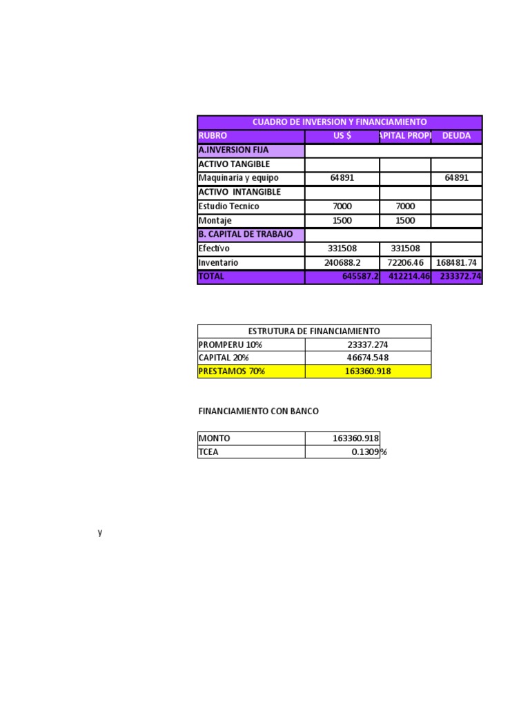 Cuadro de Inversion Y Financiamiento Rubro US$ Capital Propio Deuda | PDF