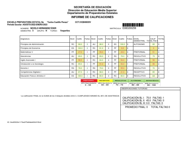 Informe de Calificaciones Prepa | PDF