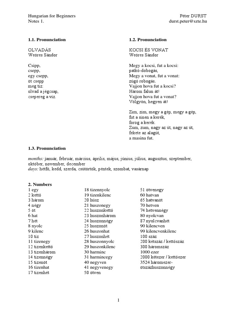 Durst Beginners Hungarian | PDF