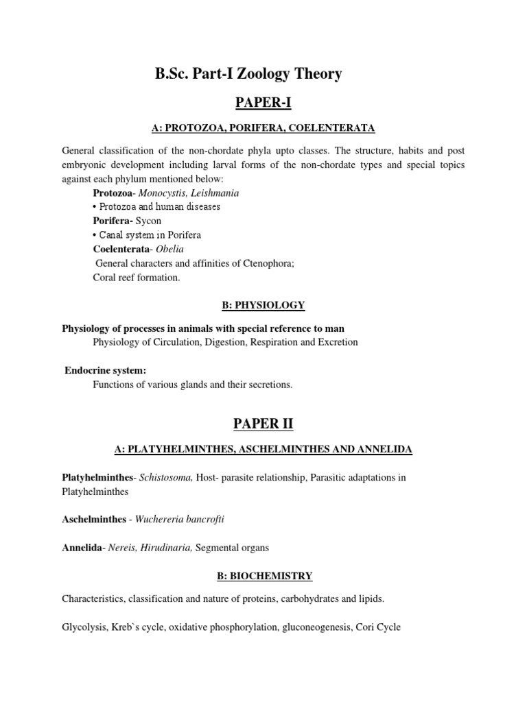 B.Sc. Zoology Syllabus Overview | PDF | Genetics | Biology