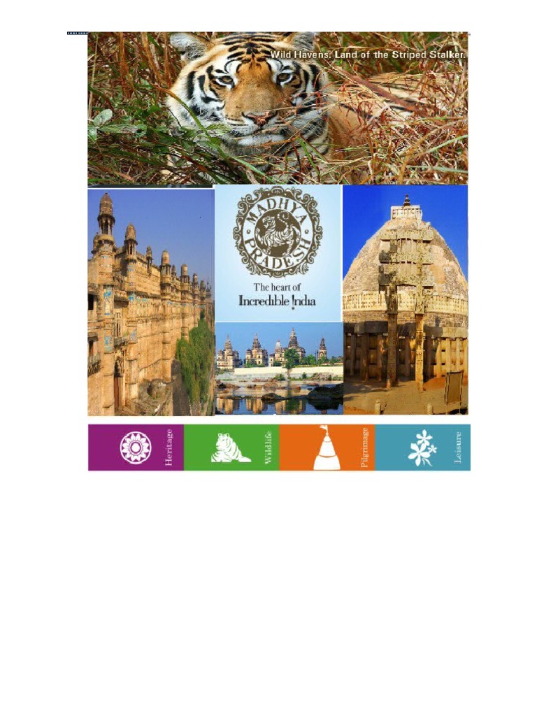 Madhya Pradesh Tourism Branding Strategy | PDF | Tourism | Public ...