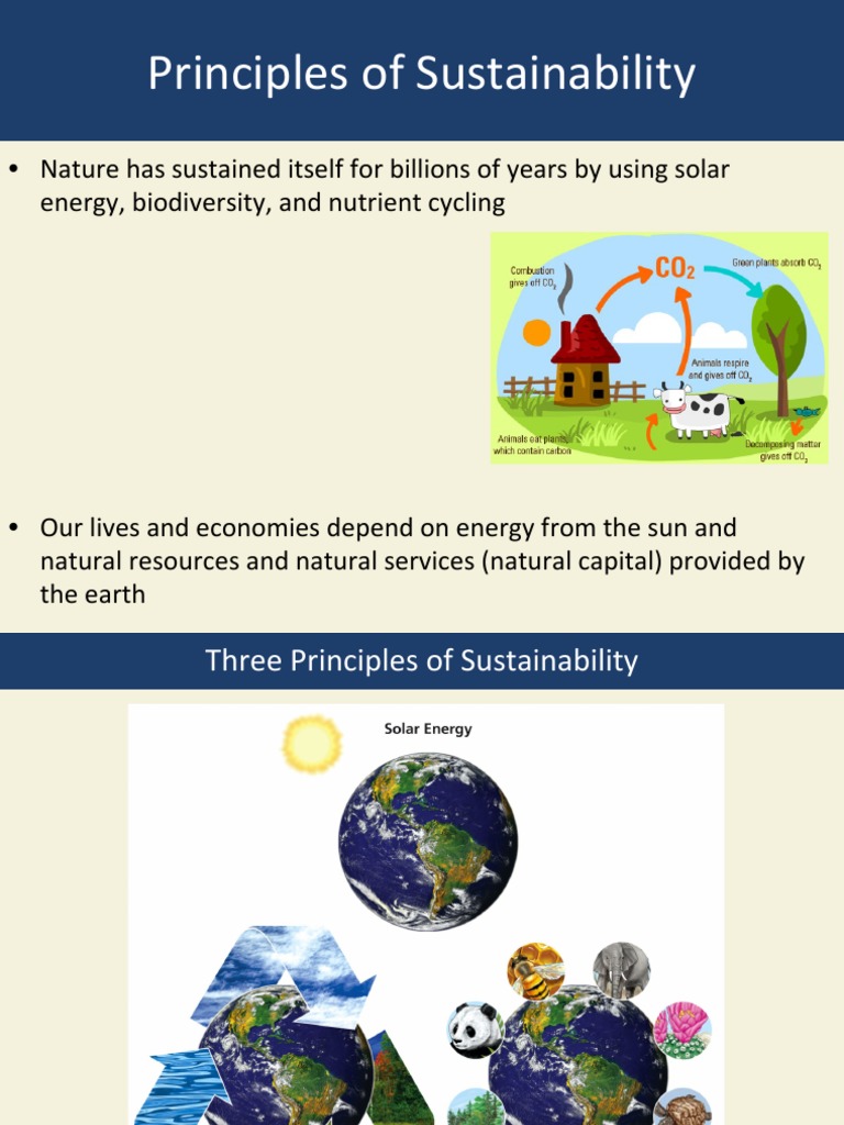 Principles of Sustainability | PDF | Sustainability | Soil
