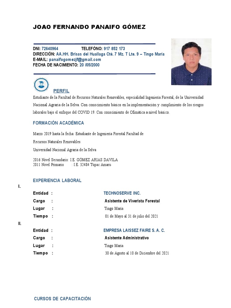 CV JOAO FERNANDO PANAIFO GÓMEZ | PDF
