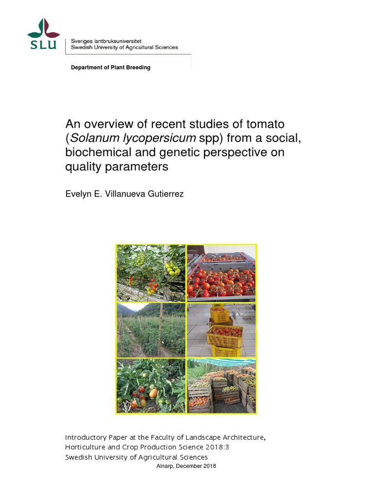 An Overview of Recent Studies of Tomato (Solanum Lycopersicum SPP) From ...