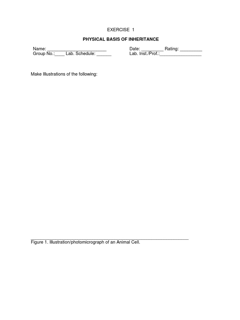 EXERCISE 1 Physical Basis of Inheritance | PDF | Meiosis | Mitosis