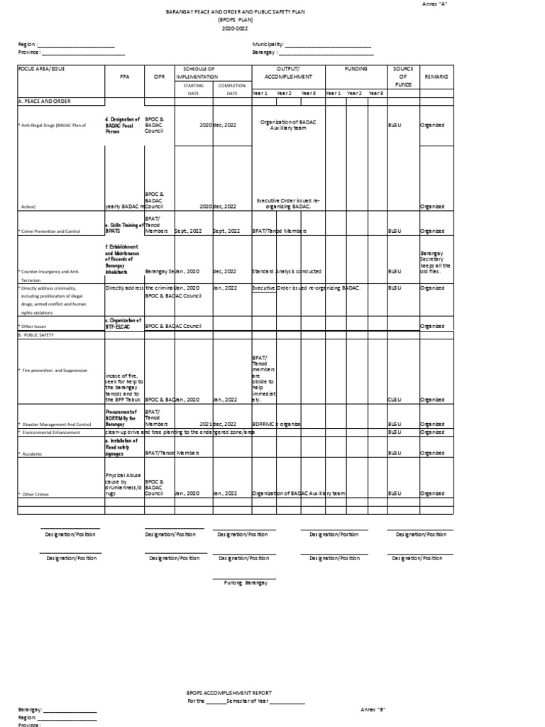 Bpops-Plan 2020-2022 | PDF