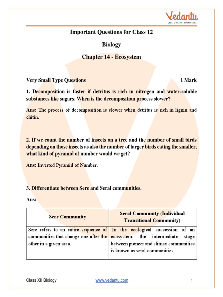 Cbse Pyq-12 | PDF | Food Web | Primary Production