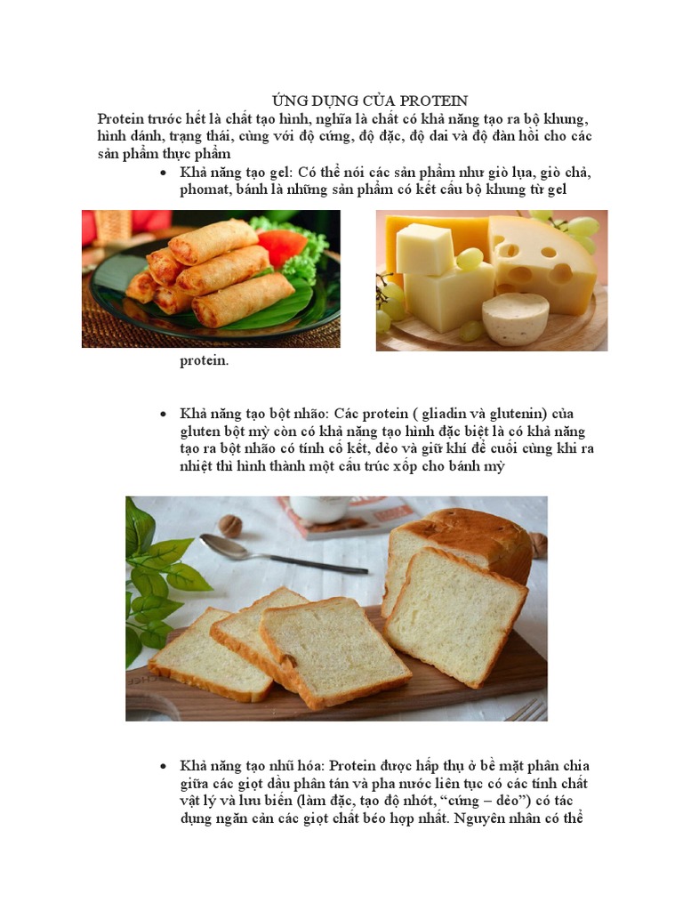 NG D NG C A Protein | PDF