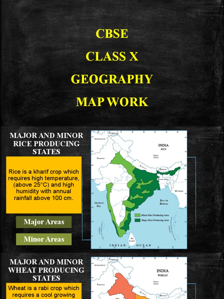X Cbse Agriculture Mapwork | PDF | Subtropics | Rice