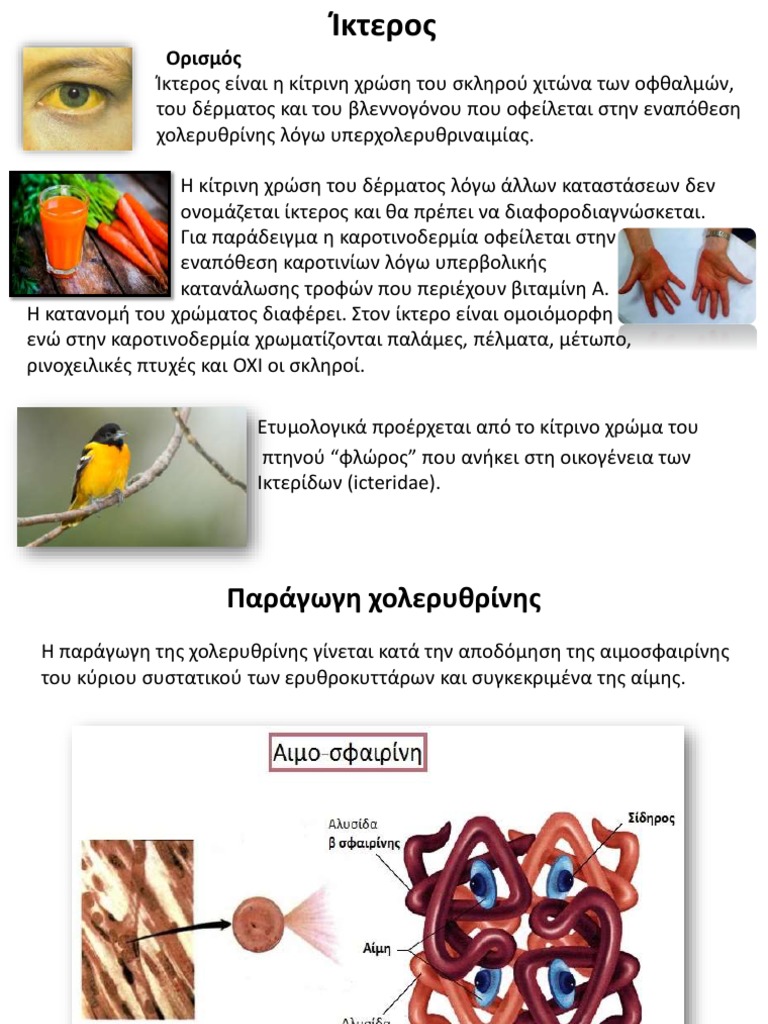 Χολερυθρίνη | PDF