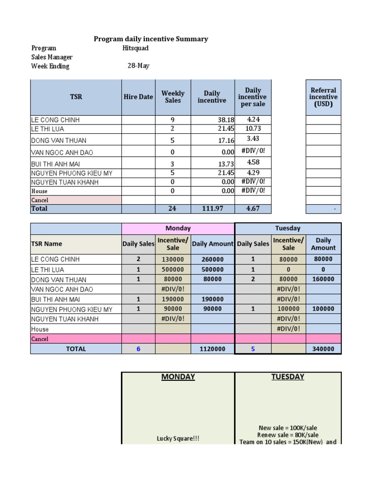Program Daily Incentive Summary | PDF | Organizational Behavior ...