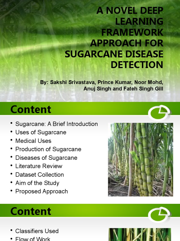 A Novel Deep Learning Framework Approach For Sugarcane Disease Detection Pdf Sugarcane
