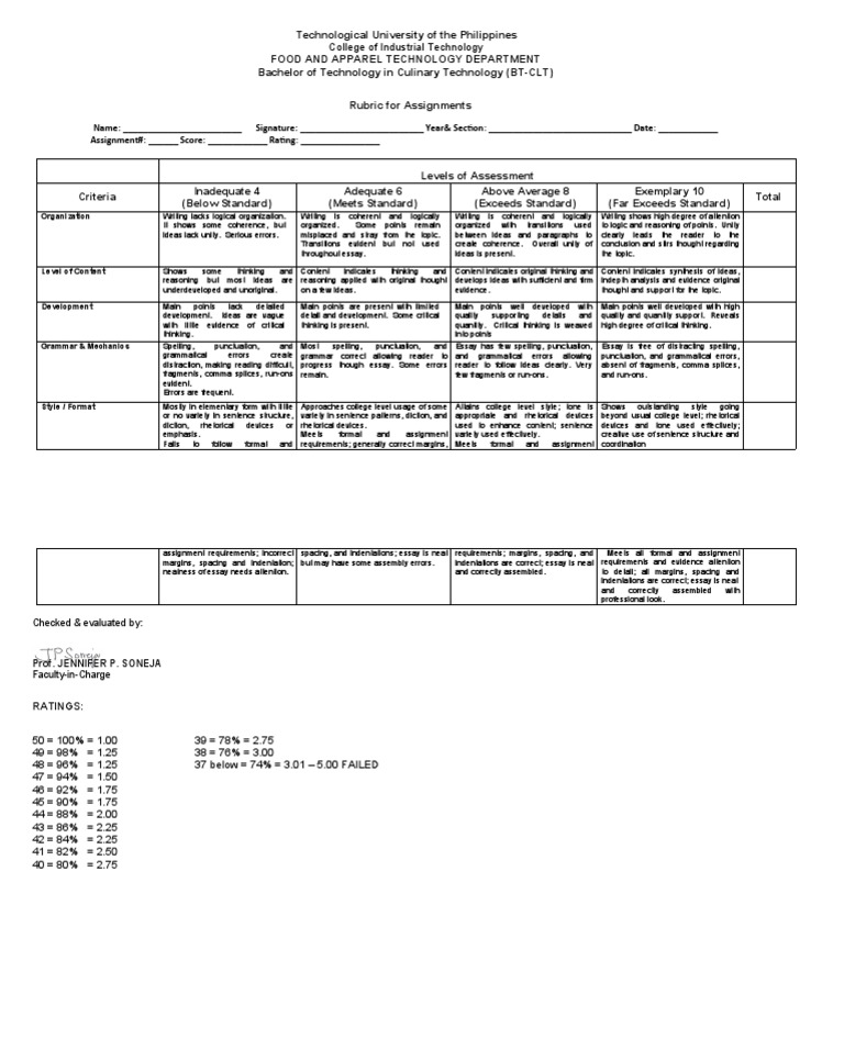 Rubric Assignment | Download Free PDF | Punctuation | Essays