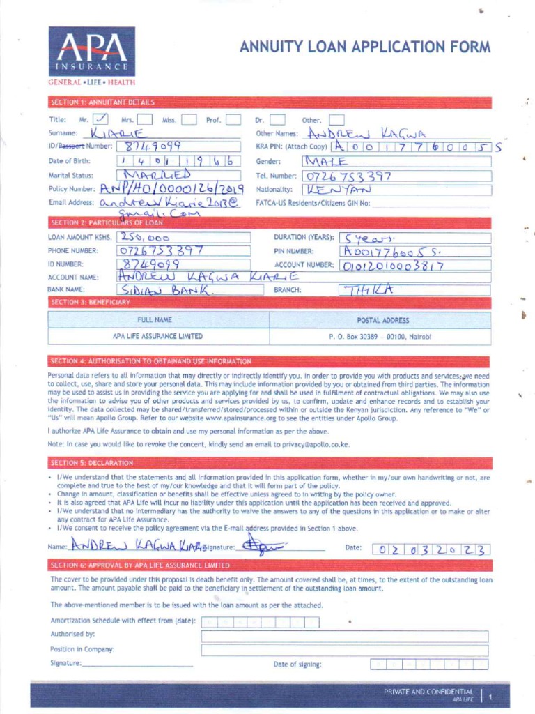 Apa Loan Application | PDF