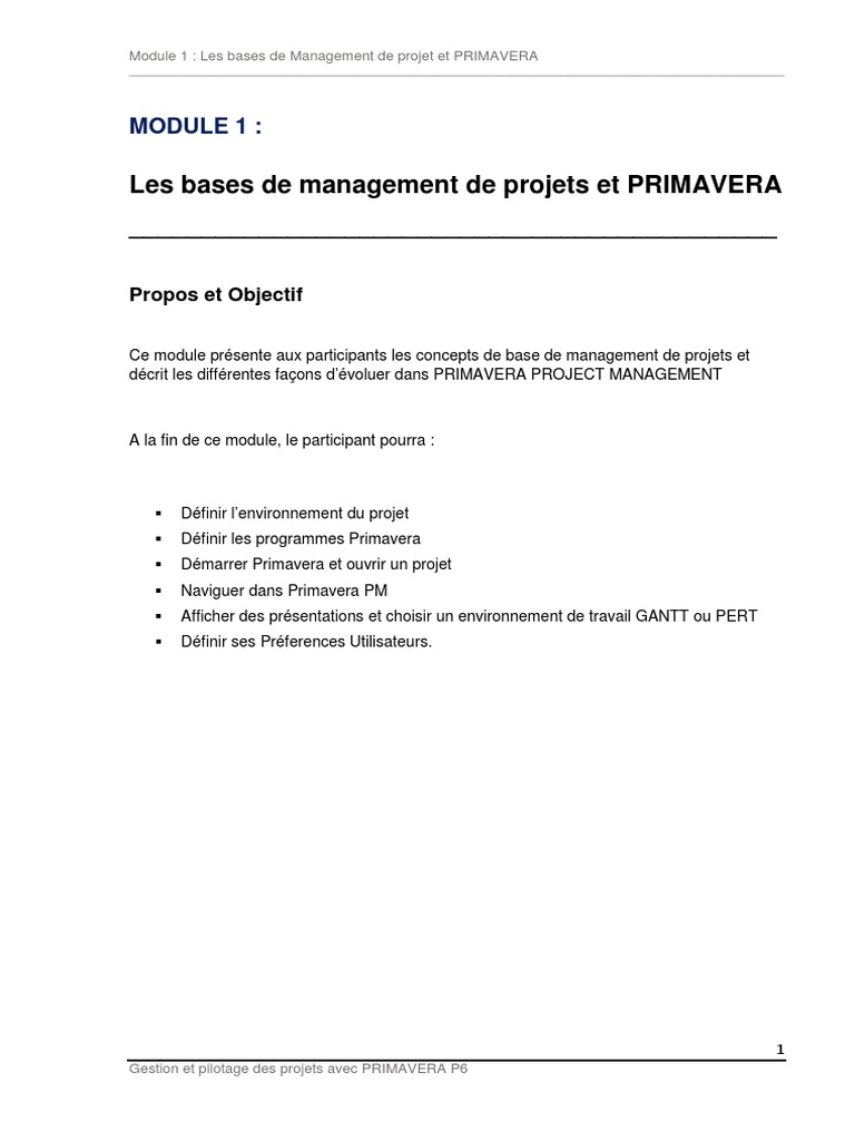 Introduction à Primavera P6 et gestion de projet | PDF | Gestion de ...