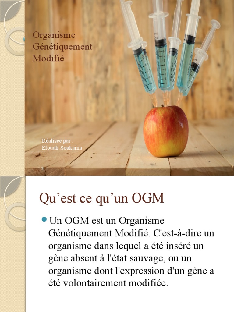 OGM Exposé | PDF | Organisme génétiquement modifié | Pesticide