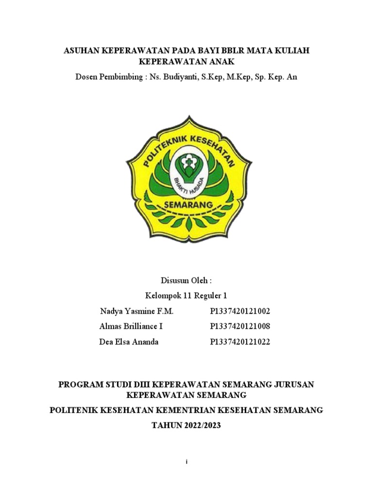 Askep BBLR With Pages | PDF | Kesehatan Holistik