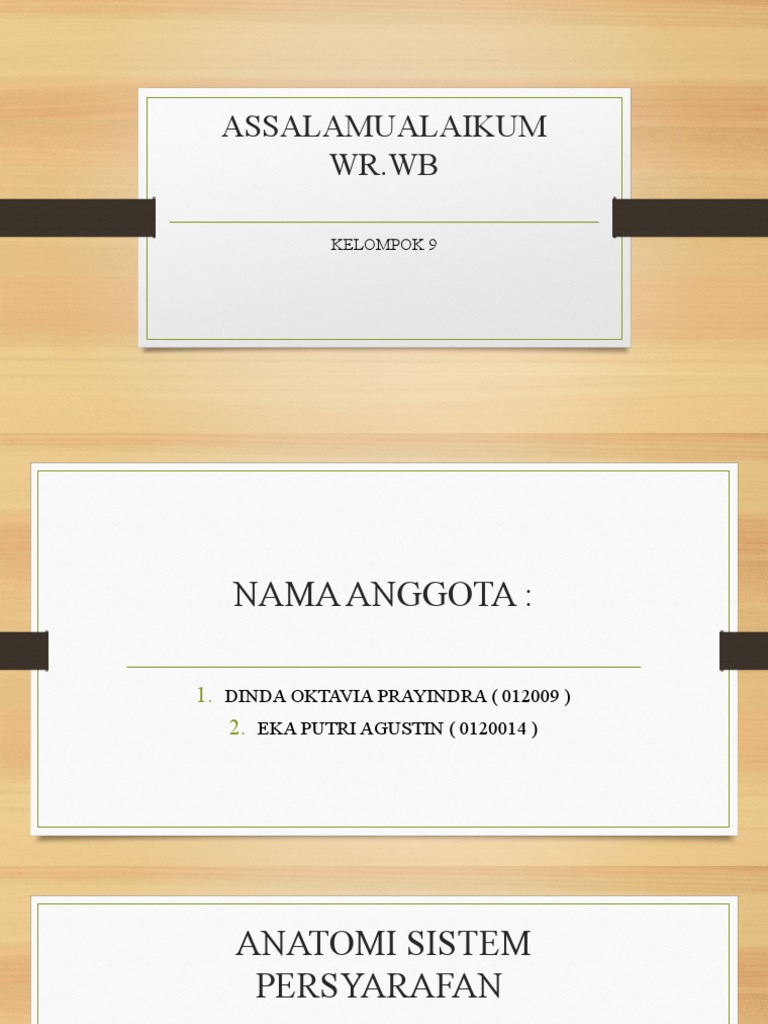 Idk Kel 9 Anatomi Sistem Persyarafan | PDF