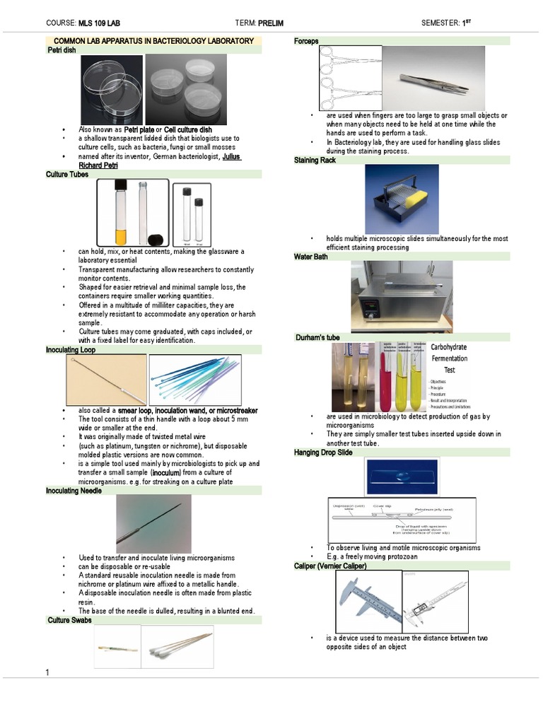 MLS109Lab LabApp&Microscope | PDF | Sterilization (Microbiology ...